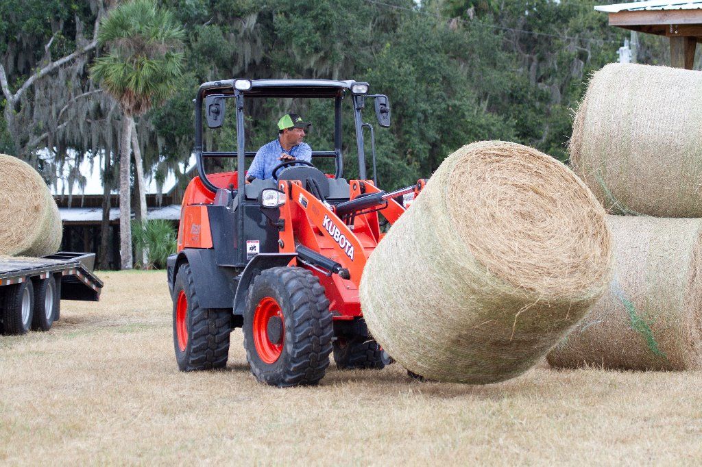 $40 COASTAL BERMUDA HAY - Claz.org