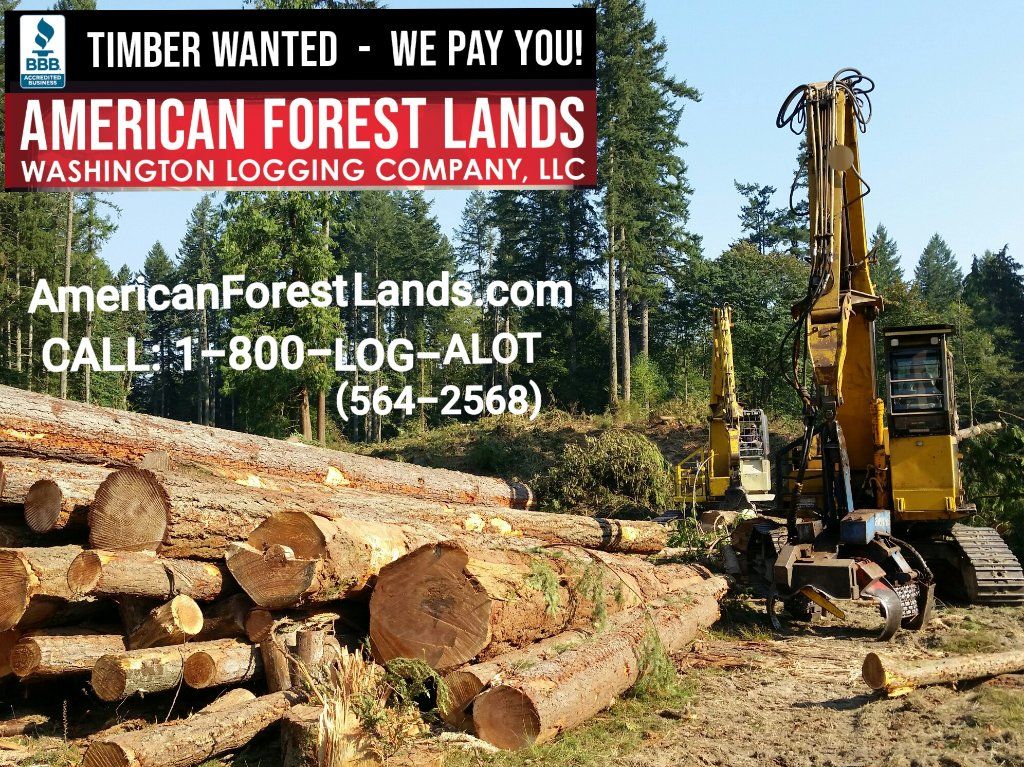 WASHINGTON LOGGING- TIMBER BUYERS, LOGGERS Duvall, Auburn, Orting ...